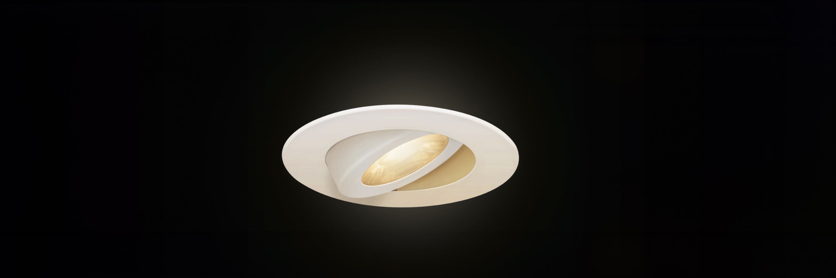 Adjustable Recessed Lights