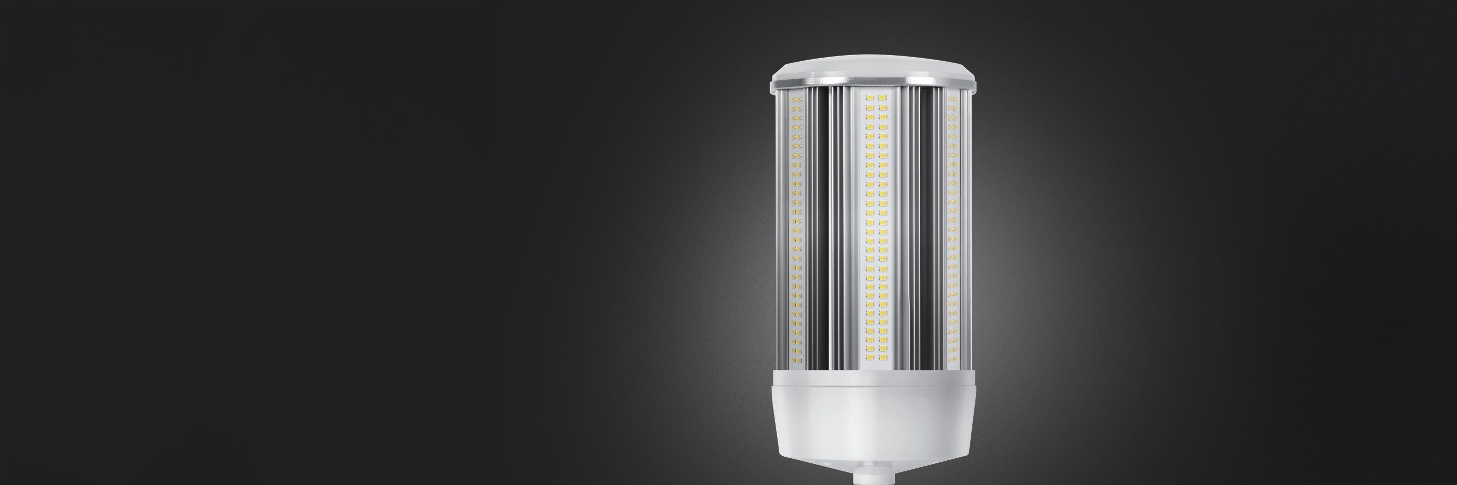 Specialty Light Bulbs - Feit Electric