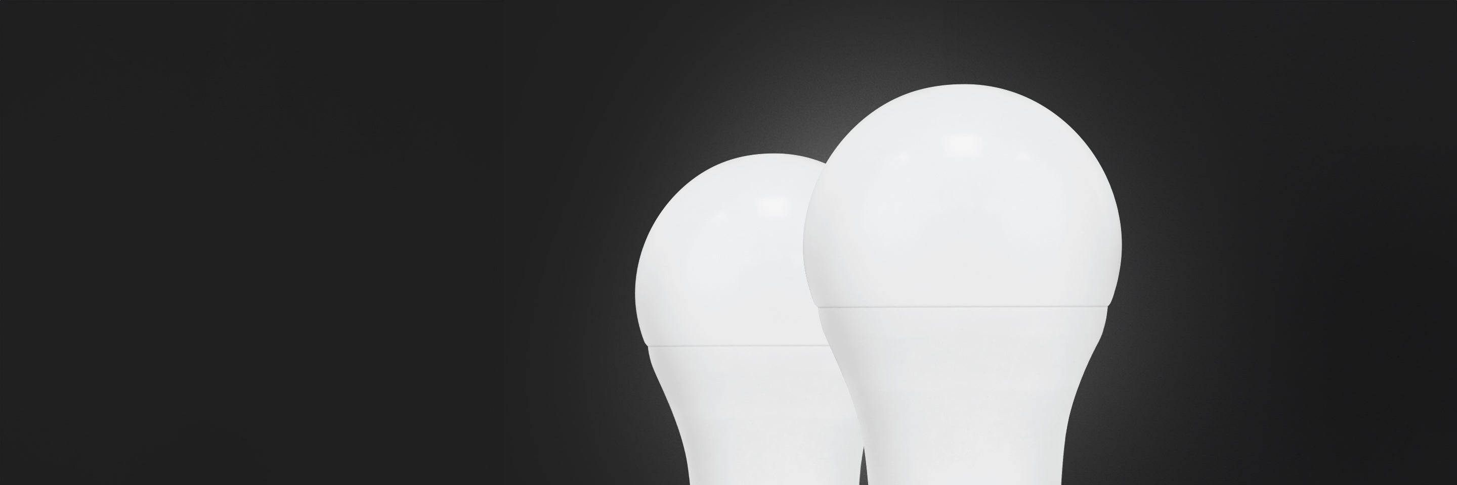 A Shaped Light Bulbs - Feit Electric