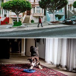 Smart Outdoor Security Cameras - Feit Electric