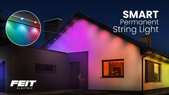 50 ft. Smart Chasing Permanent Lights