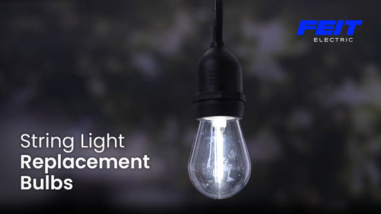 String Light Replacement Light Bulbs - Feit Electric