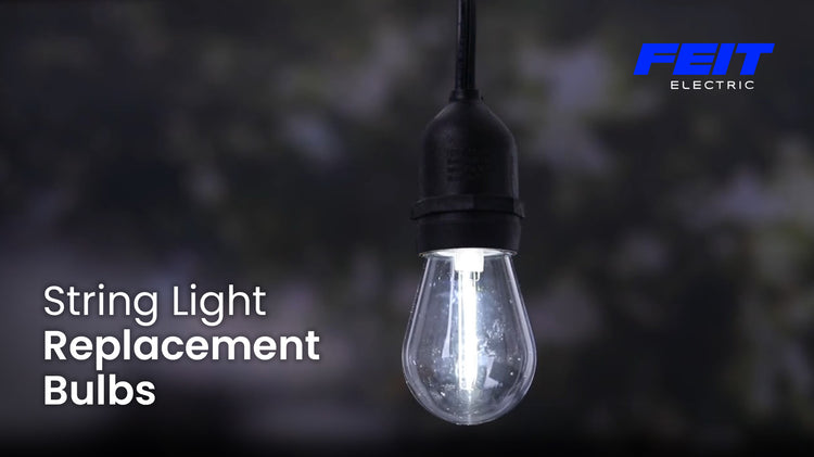 String Light Replacement Light Bulbs - Feit Electric