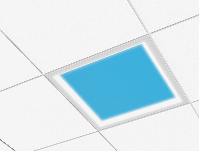 Bring Natural Light Indoors with LED Skylights - Feit Electric