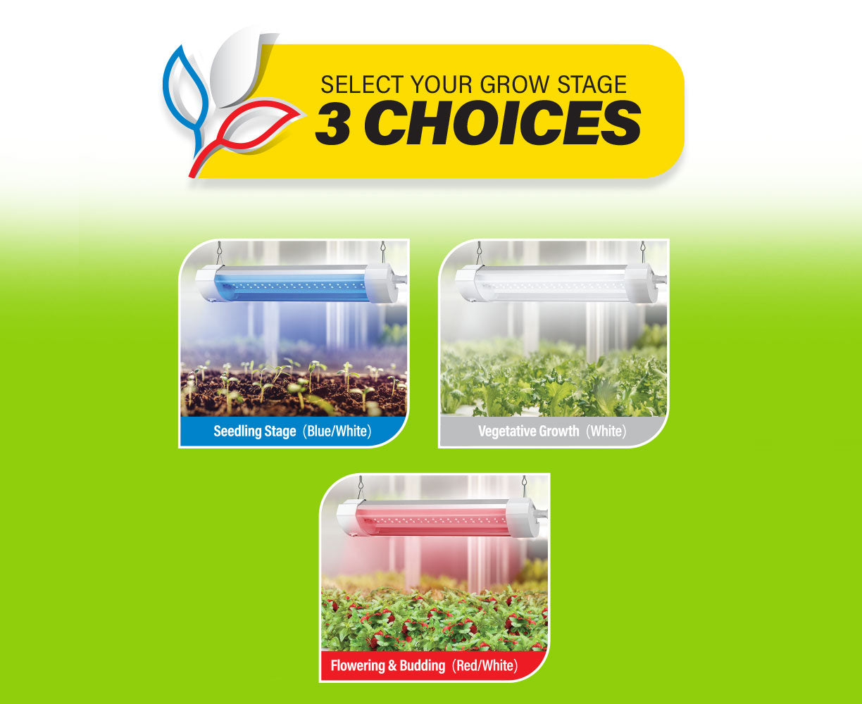 Grow Lights for Indoor Plants & Gardens - Feit Electric