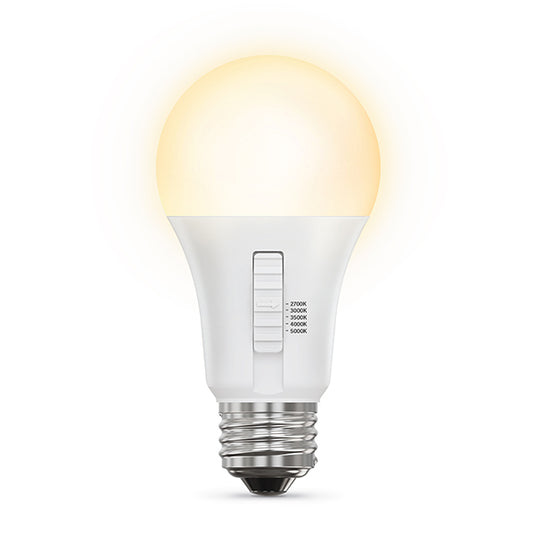 LED Light Bulbs | Energy Efficient | 15,000+ Hours - Feit Electric